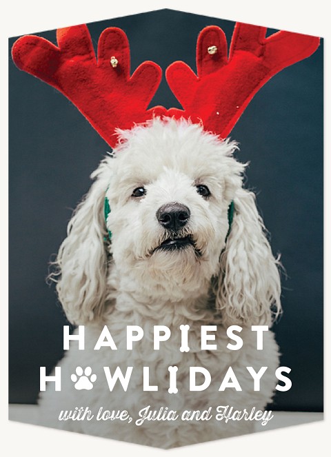 Howl-i-days | Photo Holiday Cards