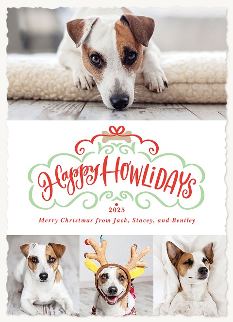 Tied with a Bone | Photo Holiday Cards